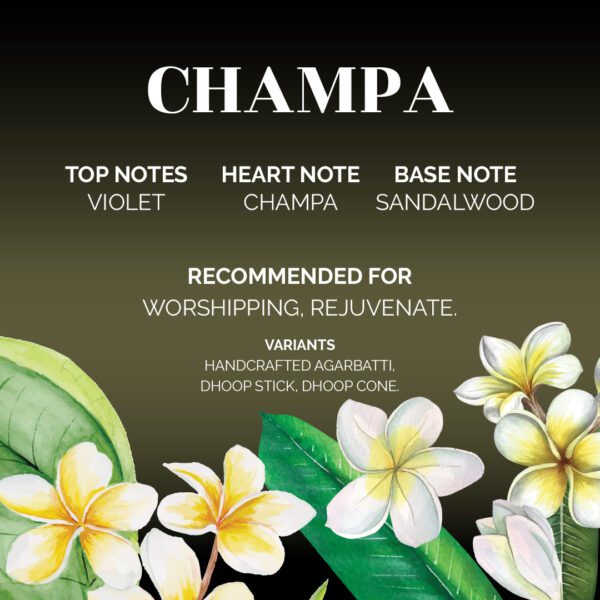 Champa Dhoop Cone | Charcoal Free – Surbhika