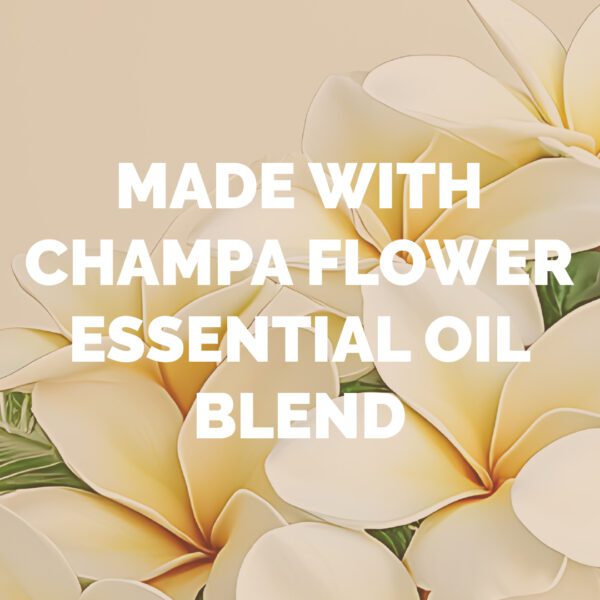 Champa Dhoop Cone | Charcoal Free – Surbhika
